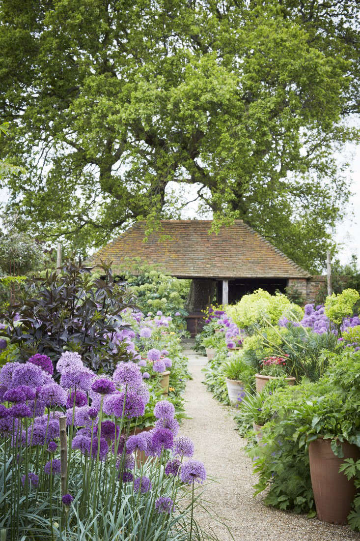 Garden Visit: Sarah Raven's Perch Hill - Gardenista