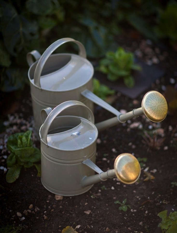 10 Easy Pieces: Garden Watering Cans - Gardenista