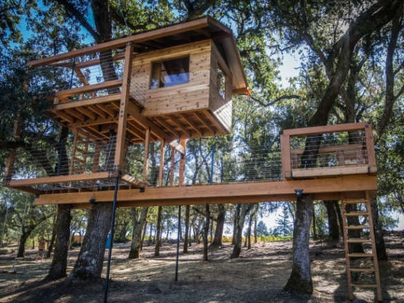 Garden Visit: A Factory Yard at Emma Bridgewater in Stoke-on-Trent ...