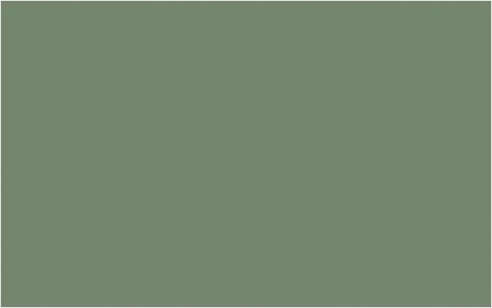 Cedar Path 454 Paint