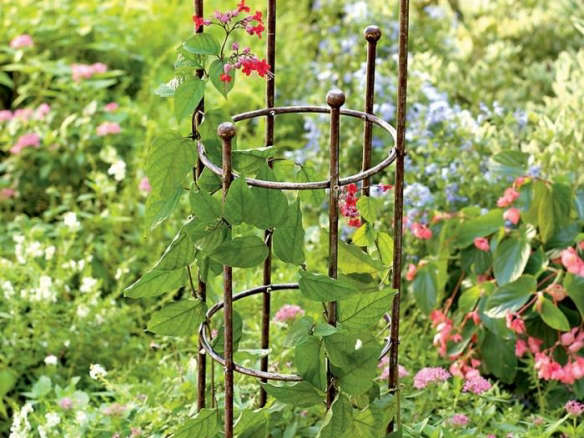 Jardin Round Trellises