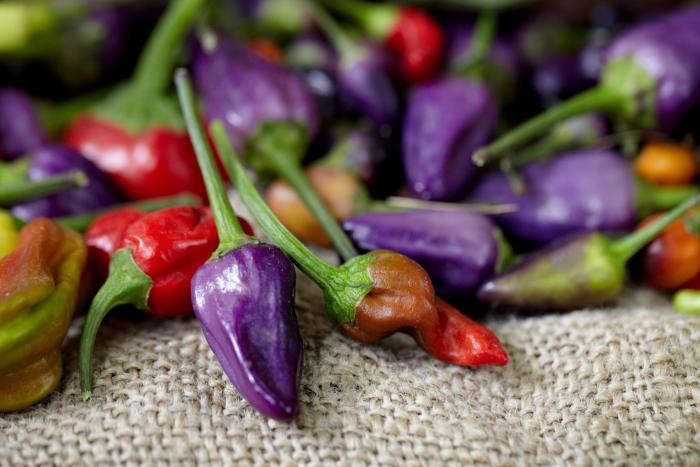 Grow the World's Rarest Peppers: Yours for $2.50 - Gardenista