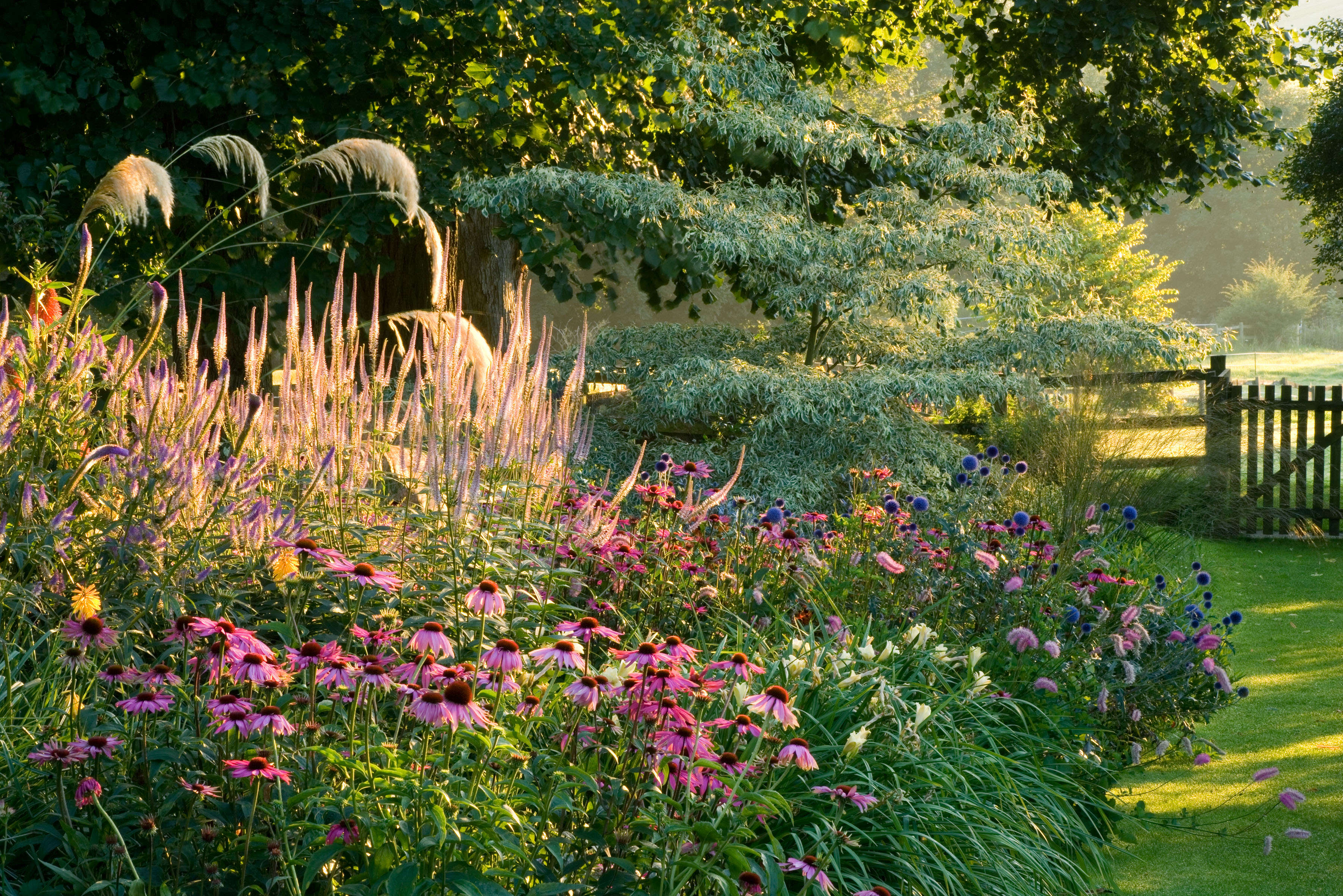 Expert Advice: 9 Tips to Take Better Pictures from Garden Photographer ...