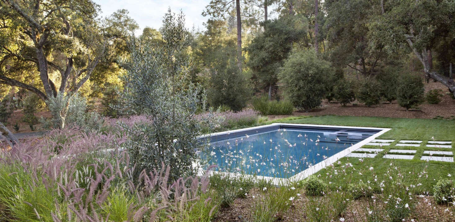 Ask the Expert: An Insider's Guide to Swimming Pool Design from Scott ...