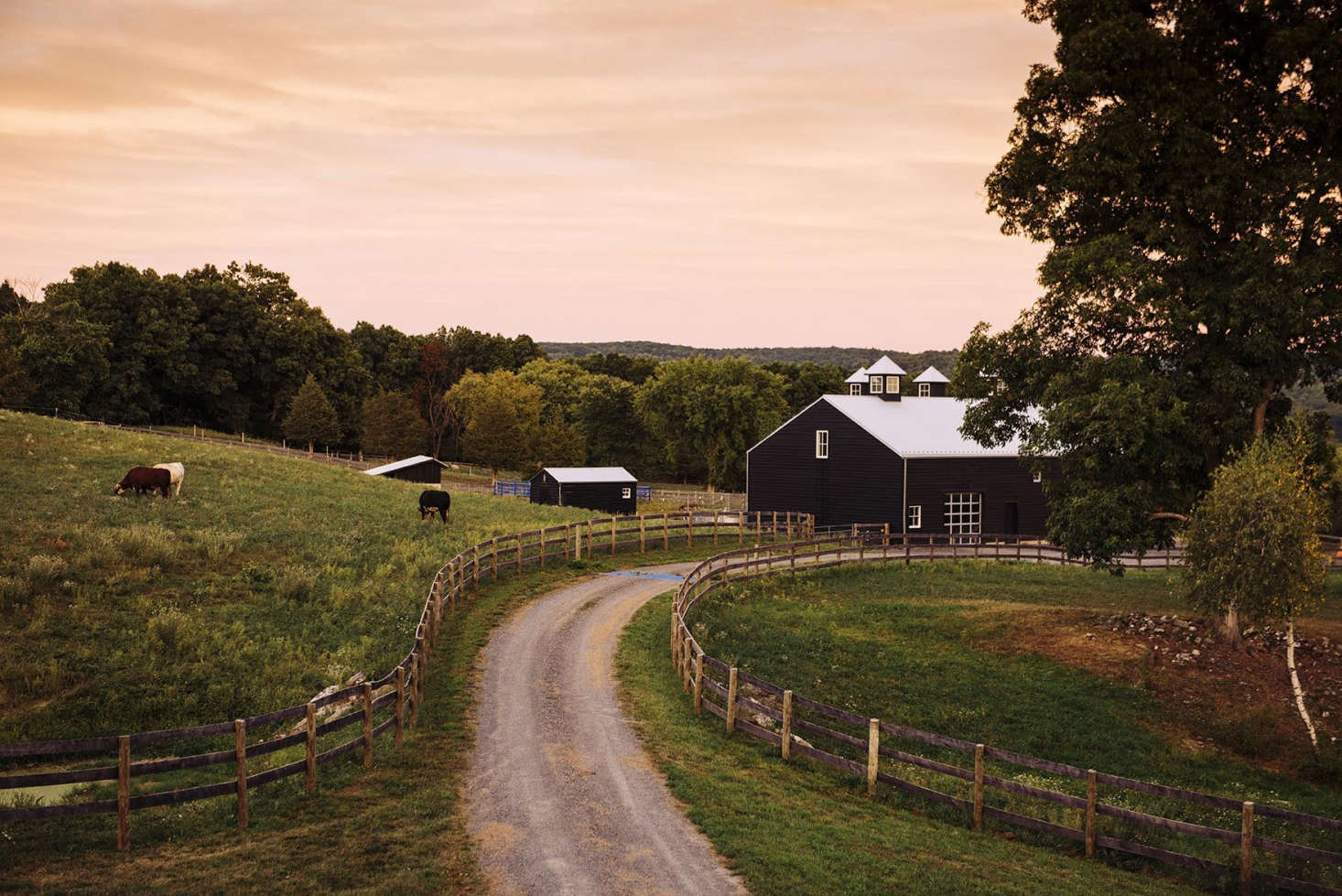 Sky High Farm: Artist Dan Colen's Painterly Landscape in the Hudson ...
