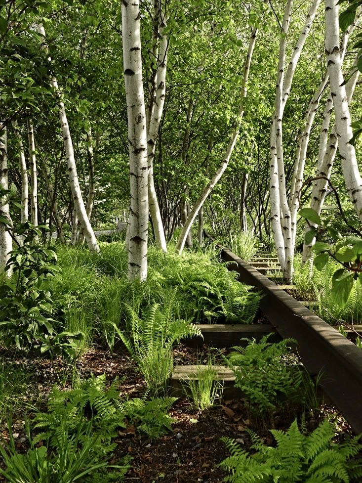High Line NYC: The Inside Story by Landscape Designer Piet Oudolf ...