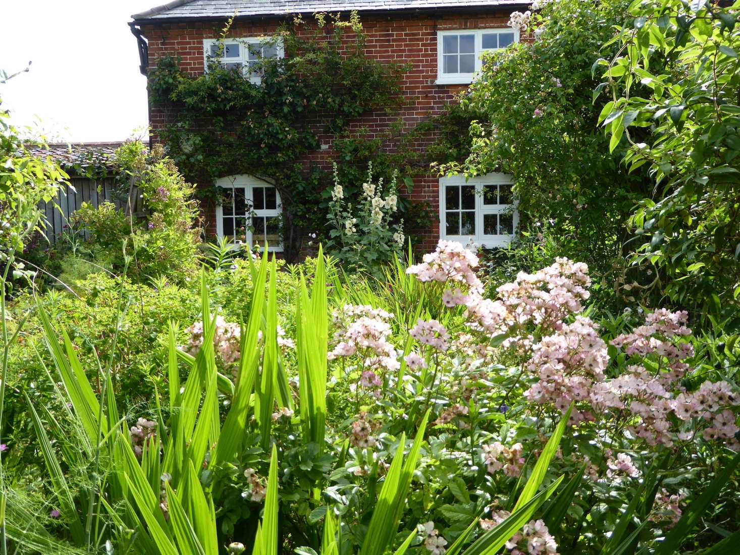 English Cottage Garden Shrubs