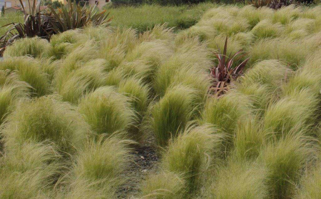 10 Garden Ideas to Steal From Morocco - Gardenista