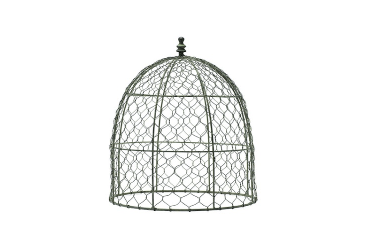 Garden Hacks: 10 Ideas for Wire Cloches - Gardenista
