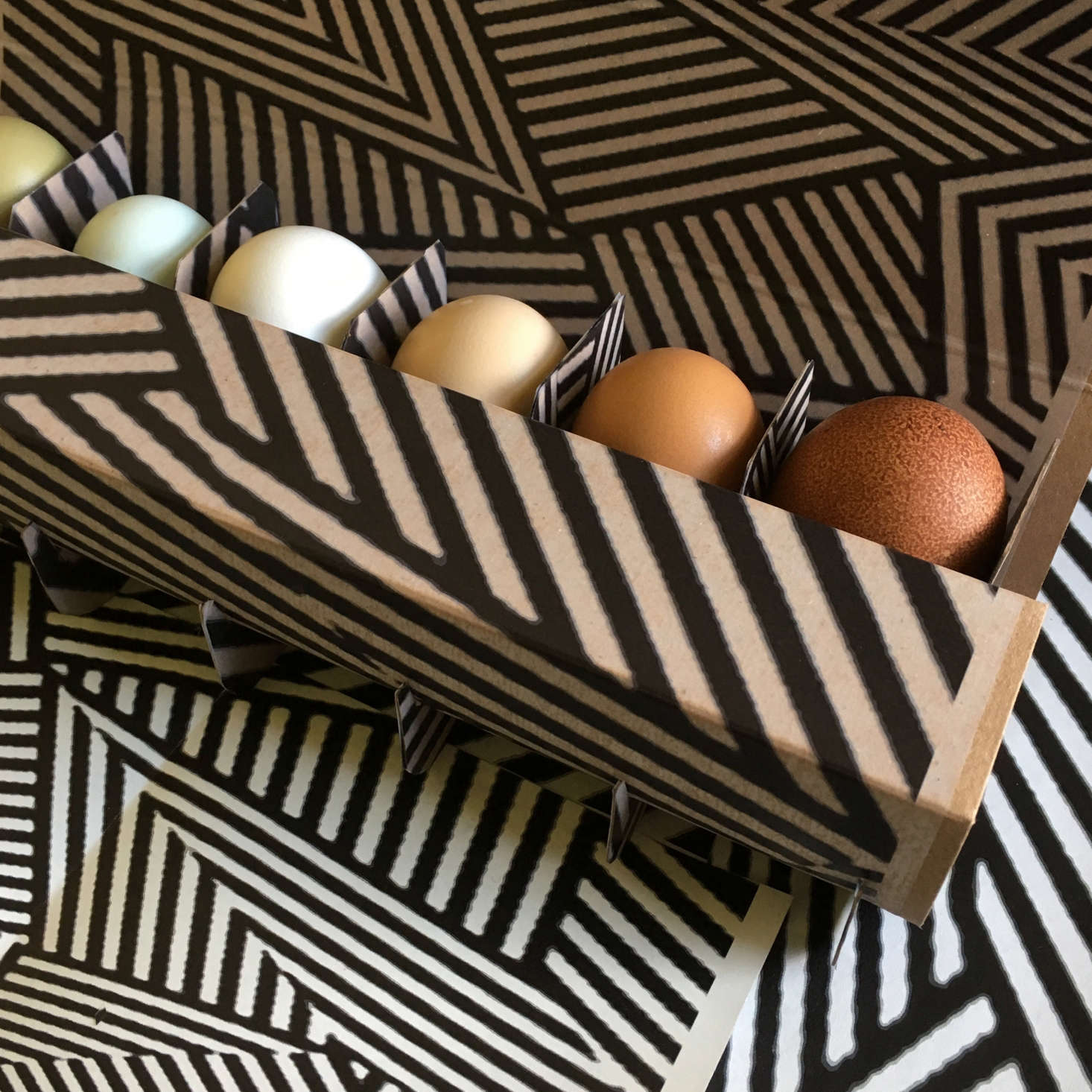 Colorful eggs in designer egg cartons from the Fancy F