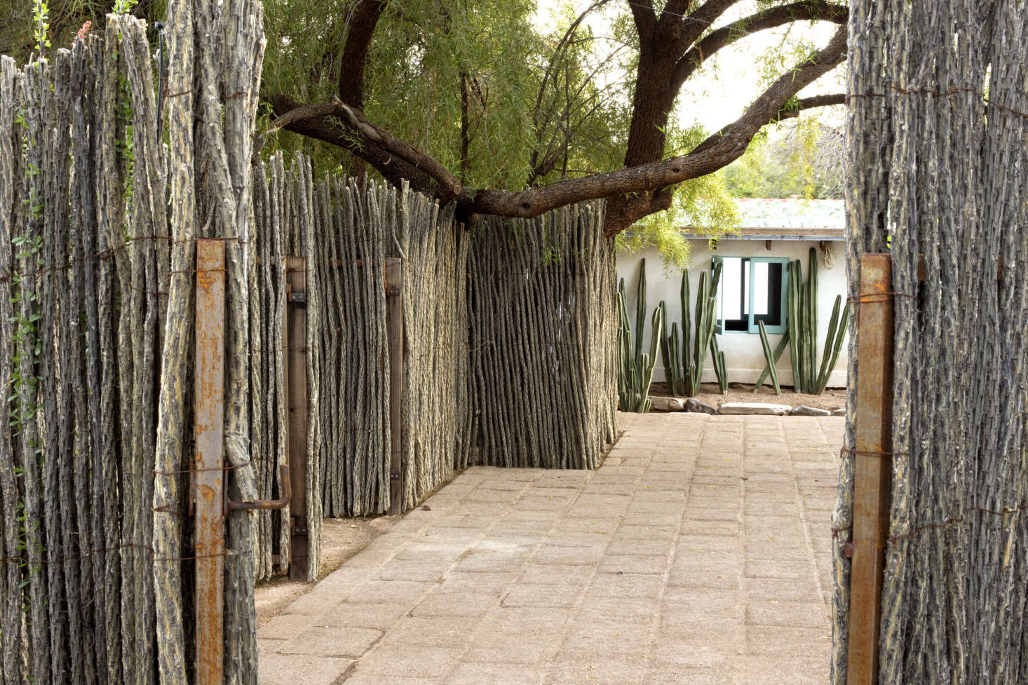 10 Ideas to Steal from Desert Gardens - Gardenista